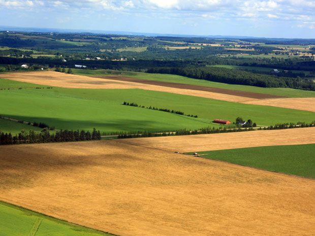 Mega quarry land north of Toronto bought by burgeoning farm fund ...