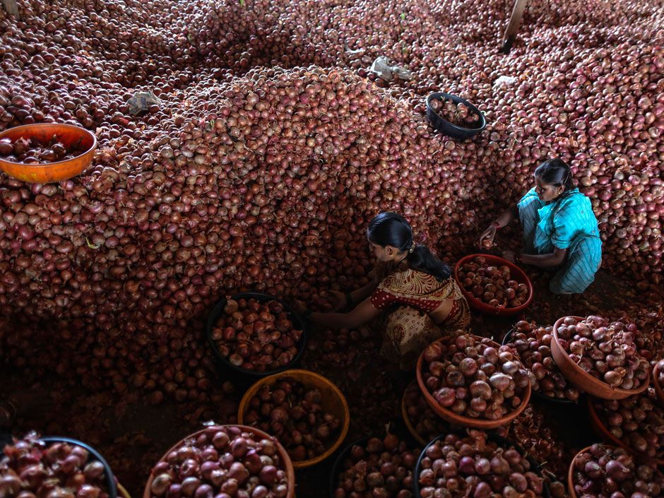 6 crazy things that happen in India when onion prices explode ...