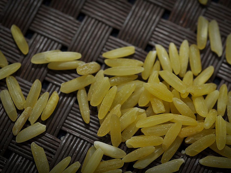 The tarnishing of Golden Rice | Financial Post