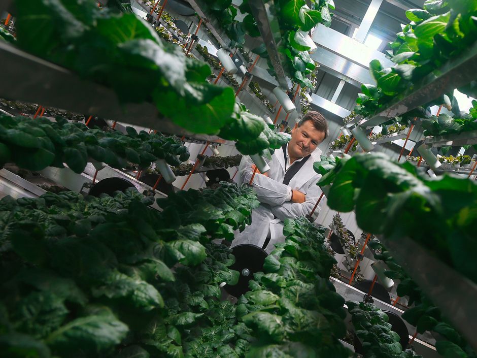 Where 'Star Trek meets farming:' Montreal cubic farmer aims to grow 500 ...