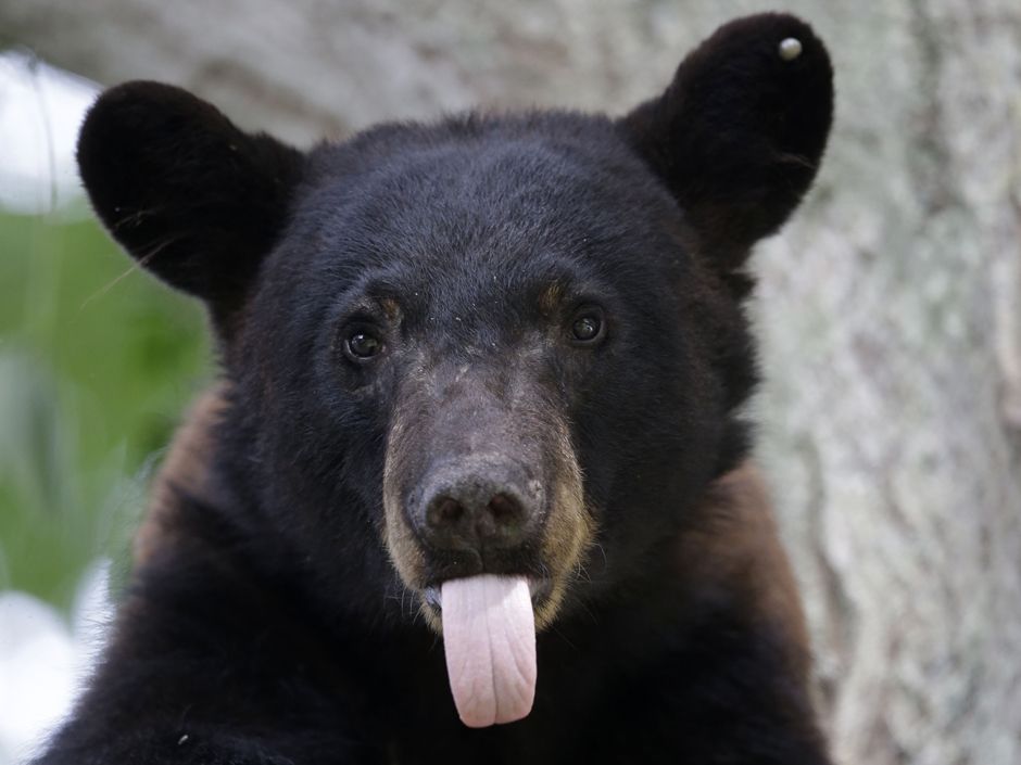 The 'stealth bear market' and the biggest risks in the year to come ...