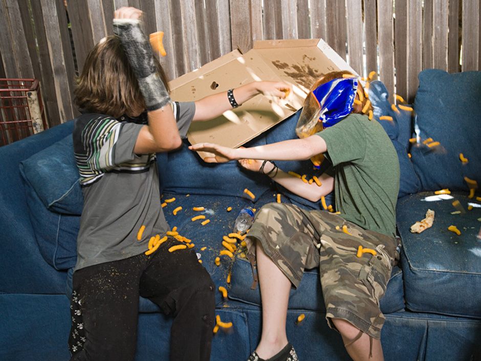 Slobproof Sofas | Baci Living Room