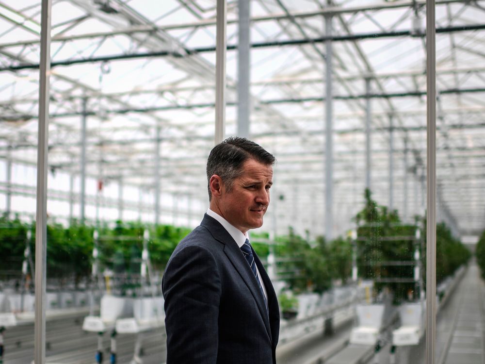 Tilray speeds up expansion in Europe with bigger leadership team ...