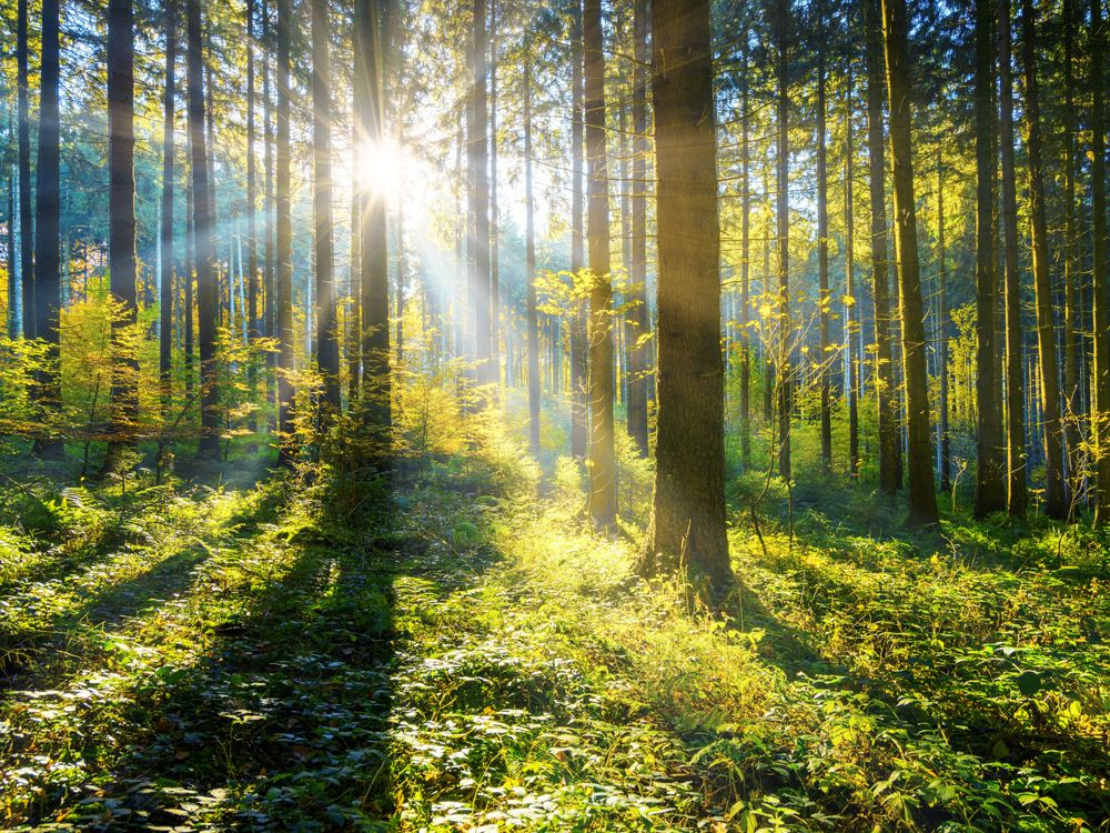 Lydia Miljan: Why you shouldn't fear the future | Financial Post