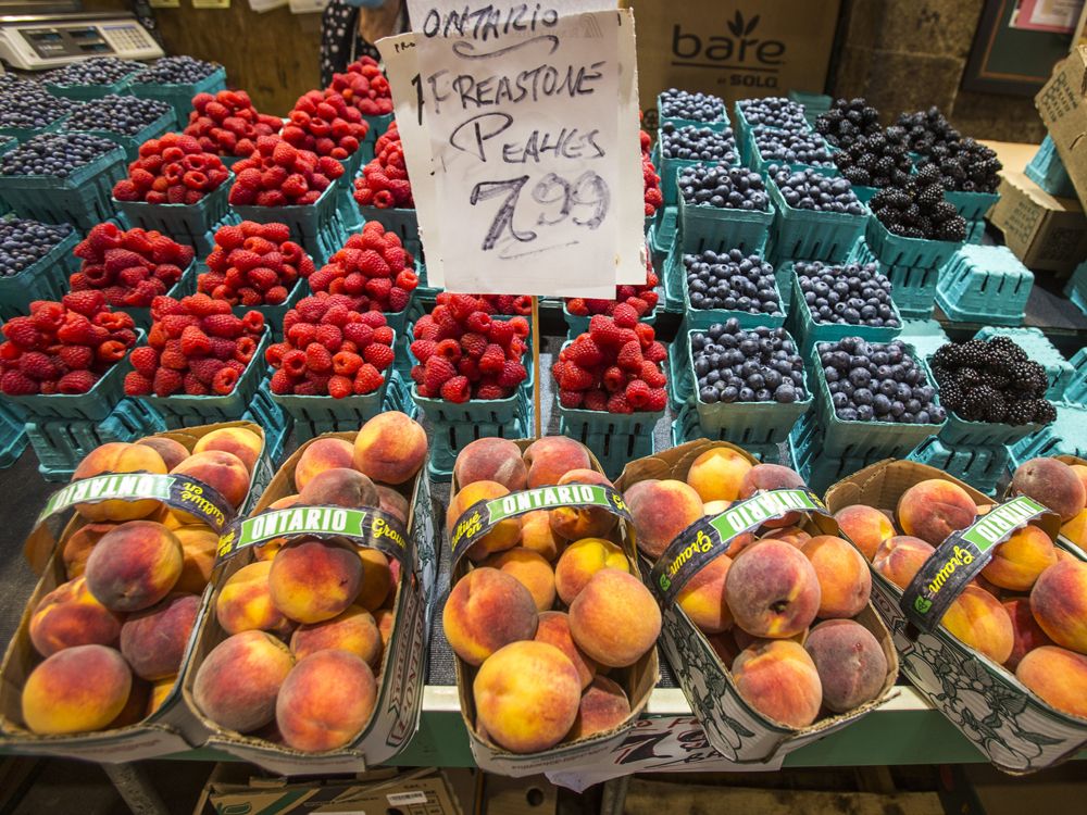 Postmortem: 'The best cure for high prices is high prices' | Financial Post