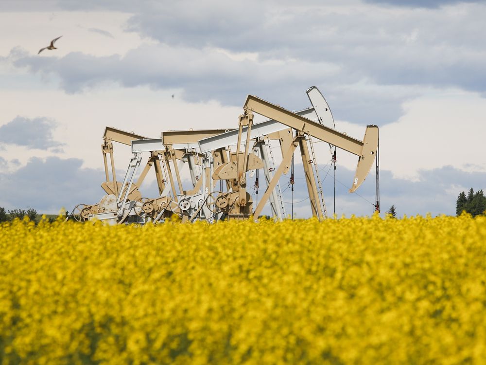 Hot money drove short-lived oil rally that crashed in July — crude's ...