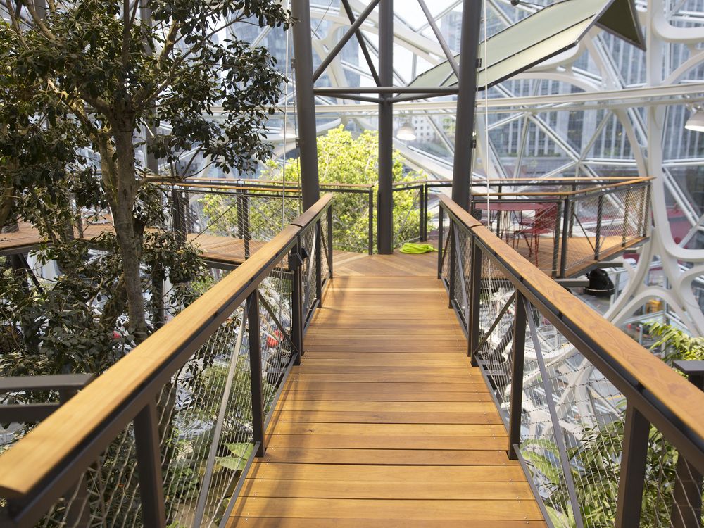 Goodbye concrete jungle, hello fresh air: Nature-inspired offices the ...