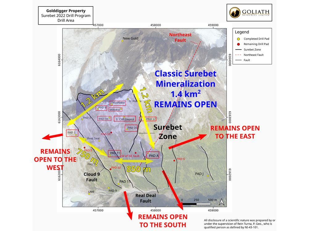 Goliath Drills 51.6 Meters* of Sulphide Mineralization Including ...