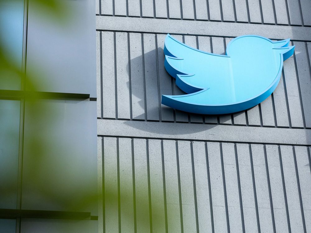 Elon Musk orders Twitter staff to work 24/7 on 'blue tick' charge ...