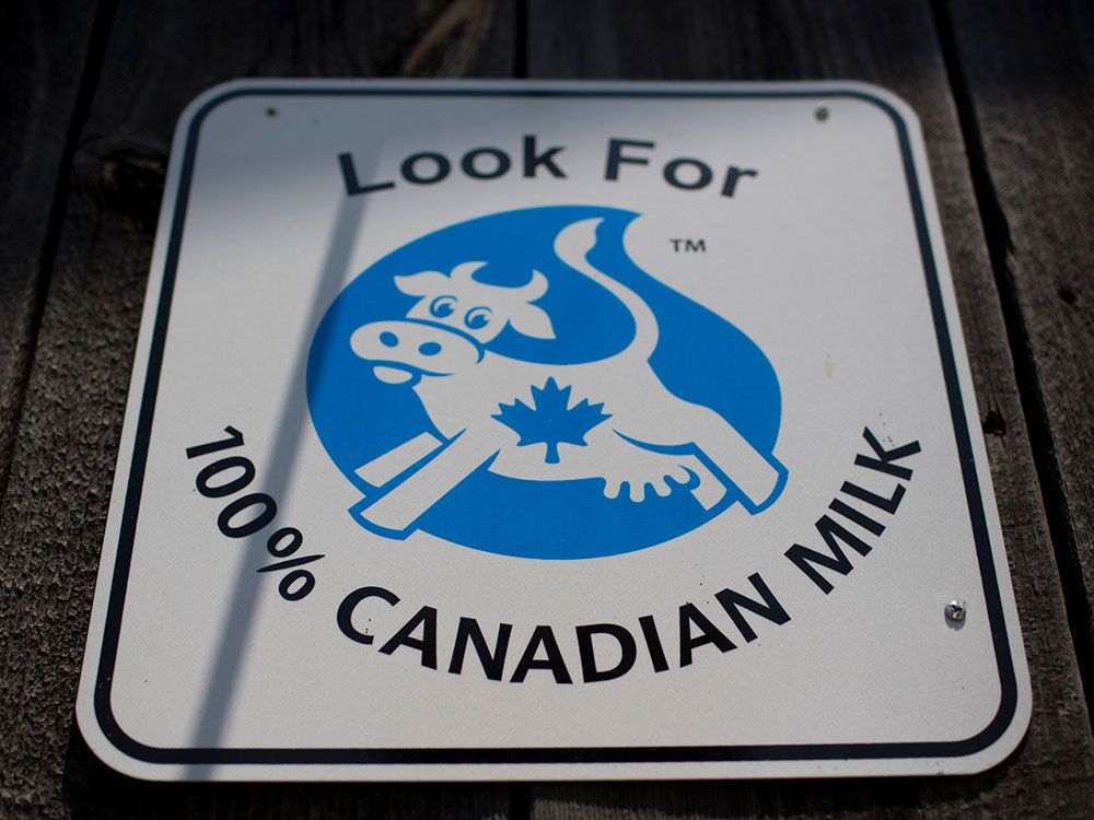 Milk price poised to go up 2.2% in new year | Financial Post