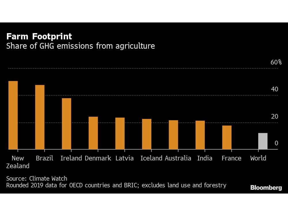 Rebel Farmers Are Pushing Back on Climate Action. This is Why ...