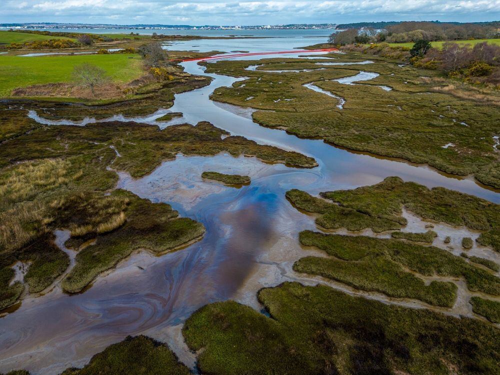 Billionaire Perrodo Family's Oil Riches Are Slowly Pulled Into the Open ...