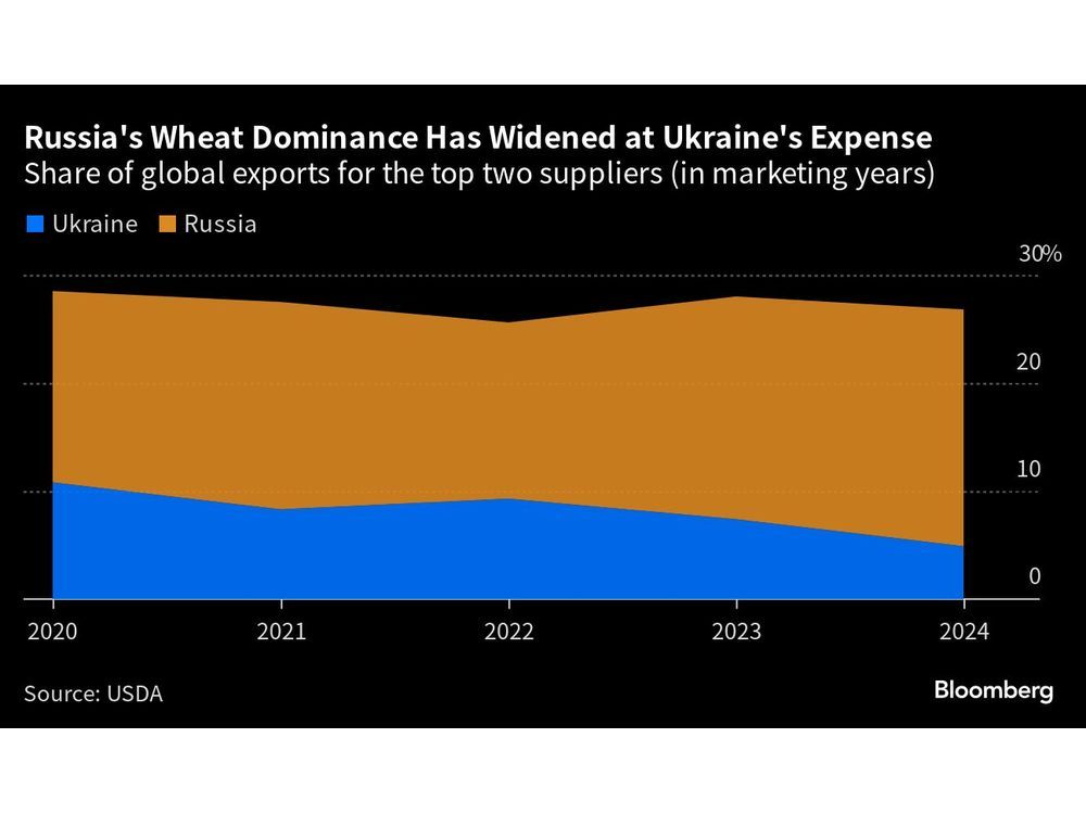 Russia Maneuvers to Tighten Its Grip on World's Wheat Supply ...