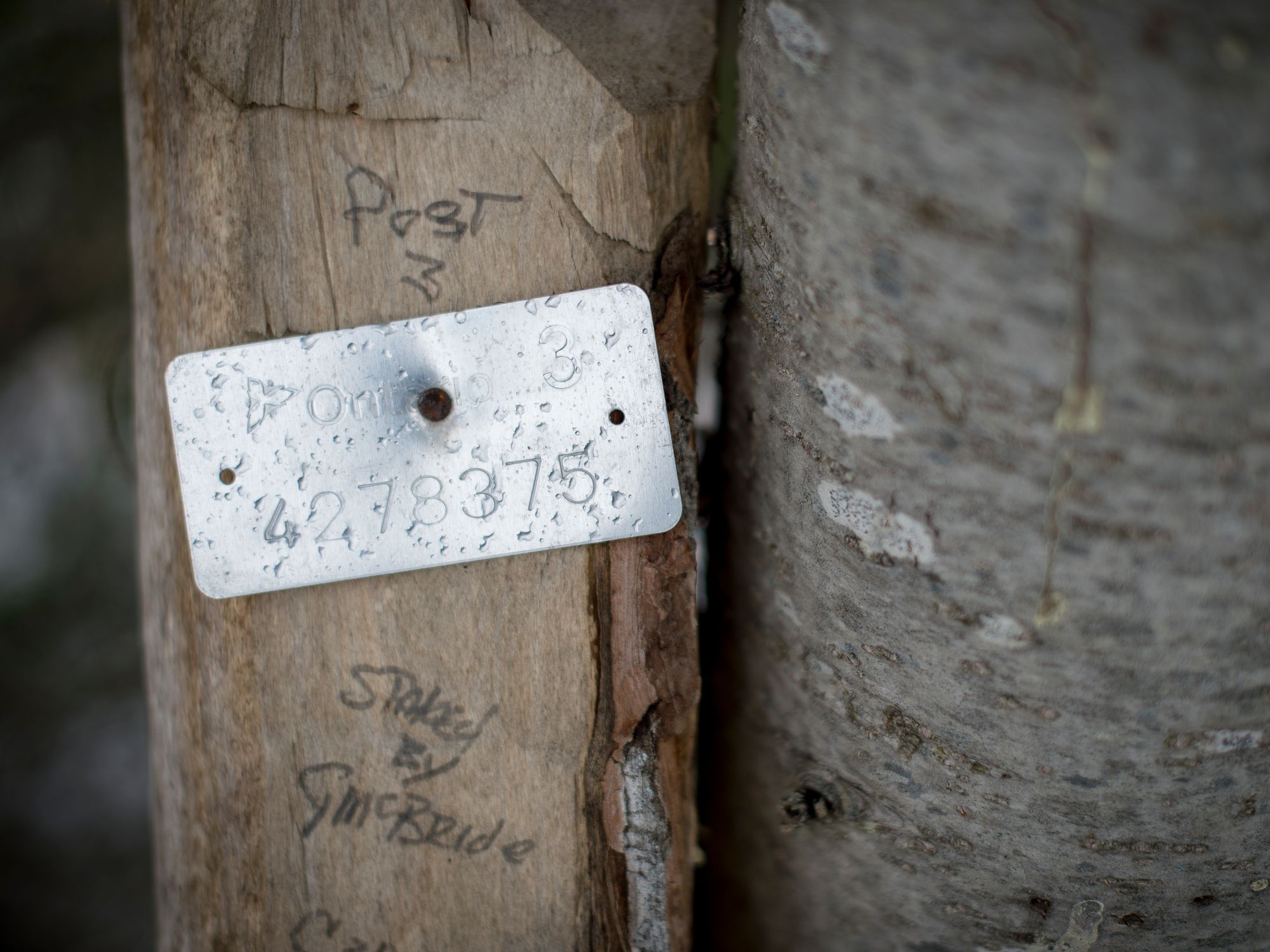 Canada energy transition push changing mining industry's rush for gold ...