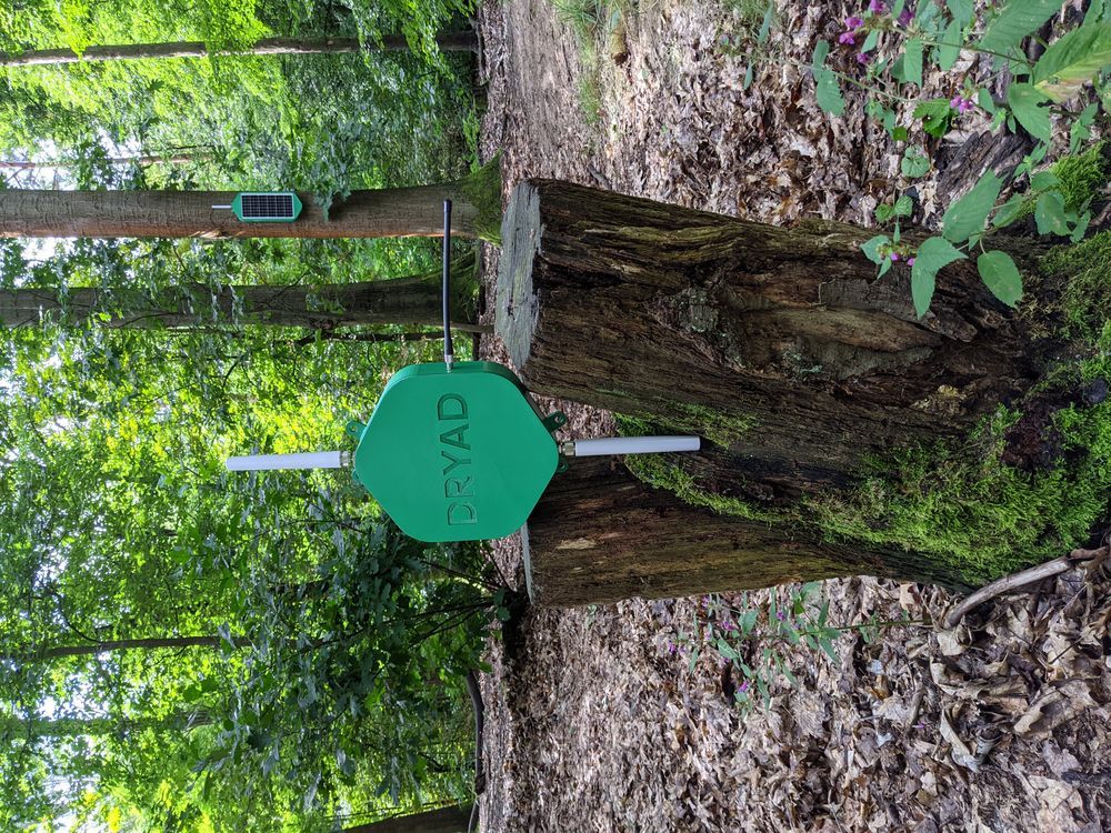 TELUS Pollinator Fund invests in Dryad Networks, helping to combat the ...