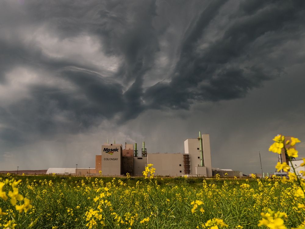 Mosaic reopens Saskatchewan potash plant as fertilizer demand improves ...
