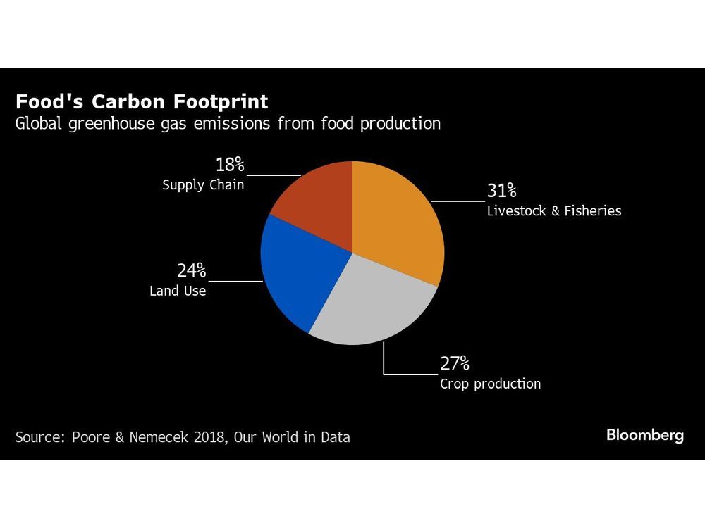 Eat Less Meat Is Message for Rich World in Food's First Net Zero Plan ...