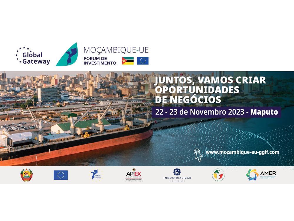 Global Gateway Investment Forum: a gathering to explore new business ...