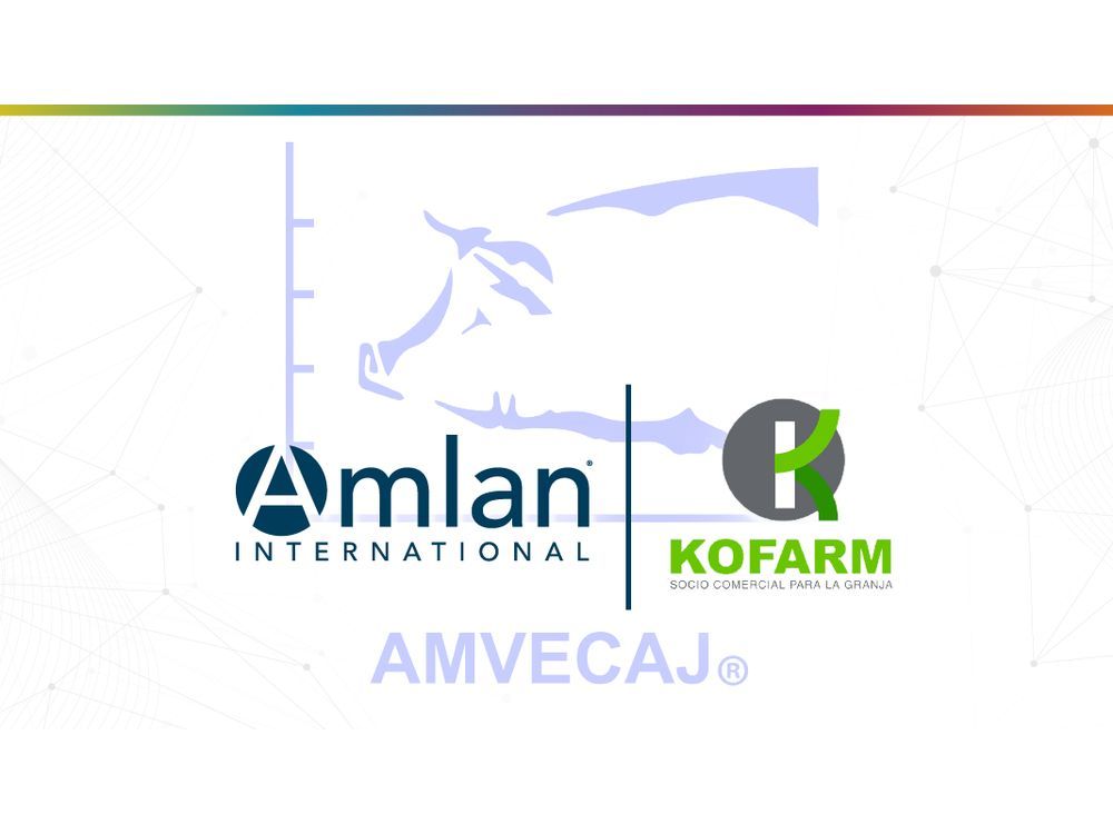 Amlan International Partners with KOFARM to Showcase Gut Health Solutions for Swine at AMVECAJ ...