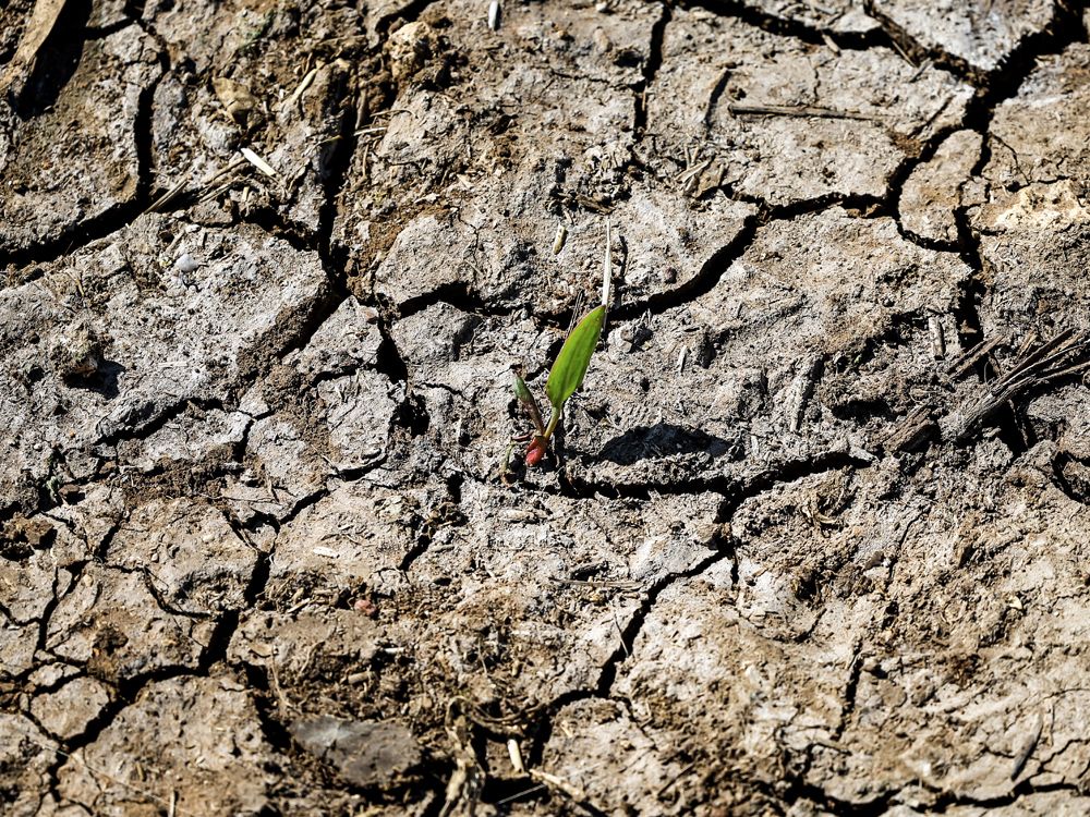 The world is quietly losing the land it needs to feed itself ...