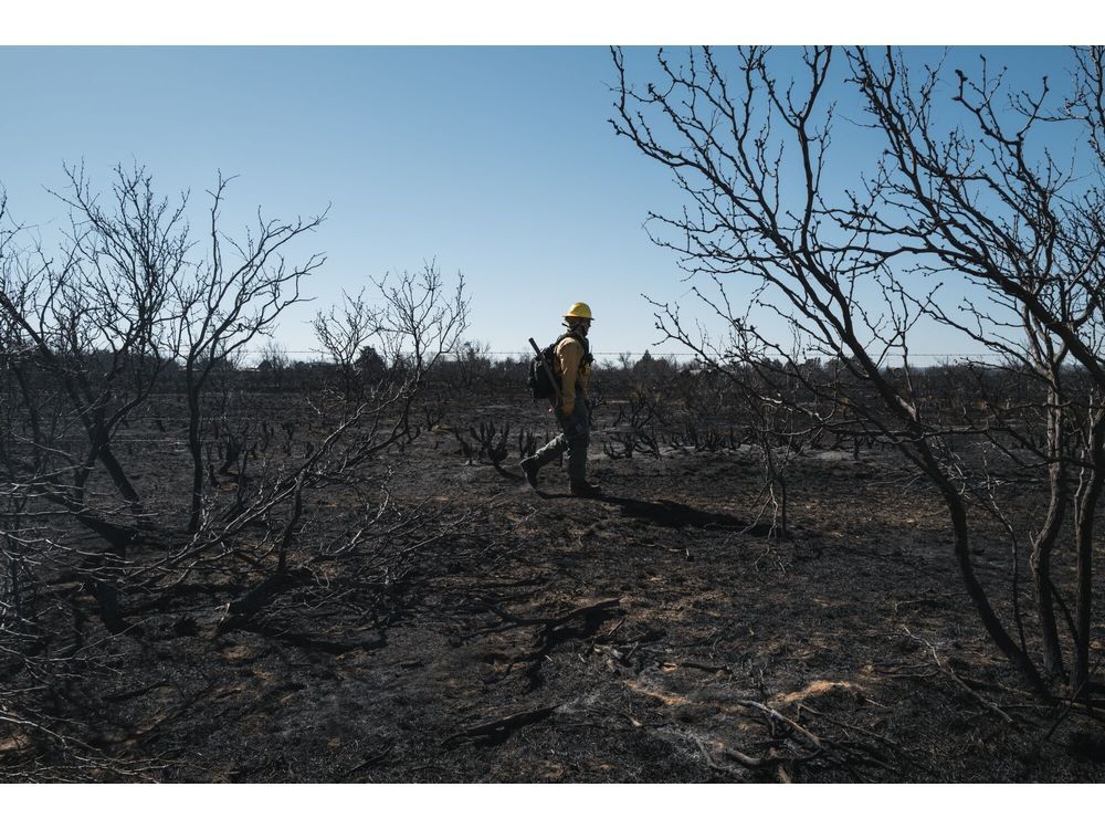 Xcel Energy Is Sued Over Worst Wildfire in Texas History | Financial Post