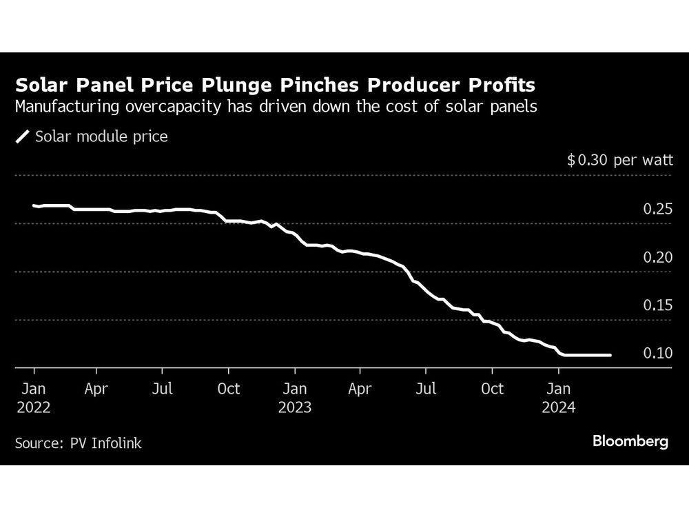 Top Solar Firm Longi Plans Thousands of Job Cuts on Glut | Financial Post
