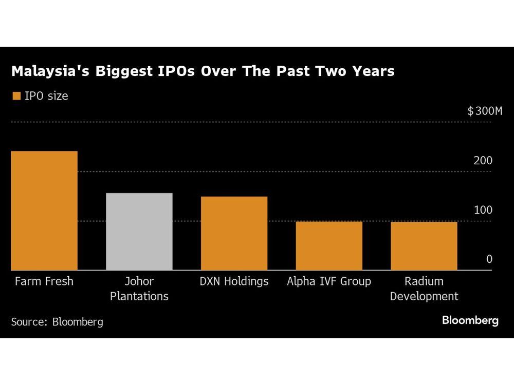 Malaysian Palm Grower Ready for Tougher ESG Rules With IPO | Financial Post