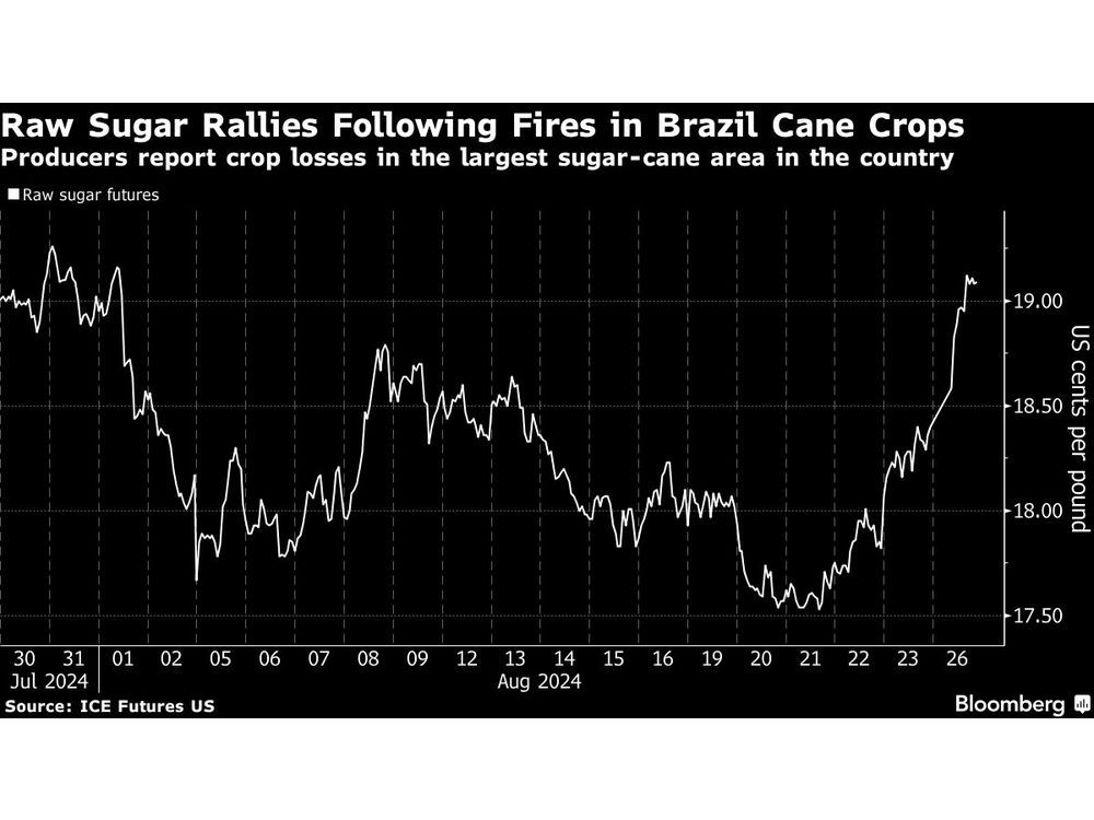 Massive Fires to Hurt Sugar Output in Top Supplier Brazil | Financial Post