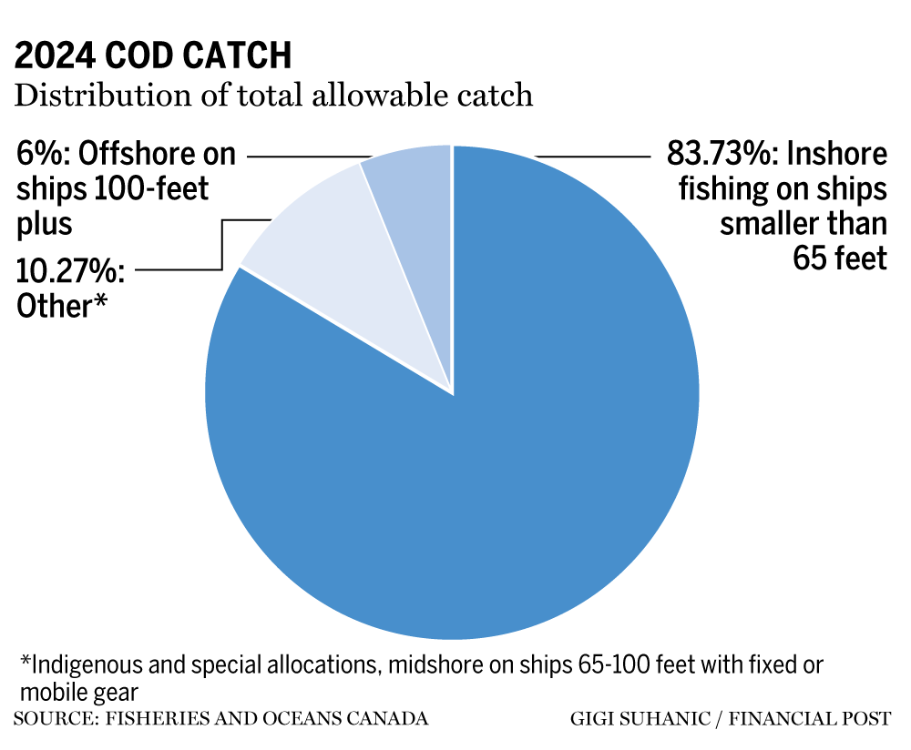 Newfoundland cod fishing makes comeback, but not everyone's happy ...