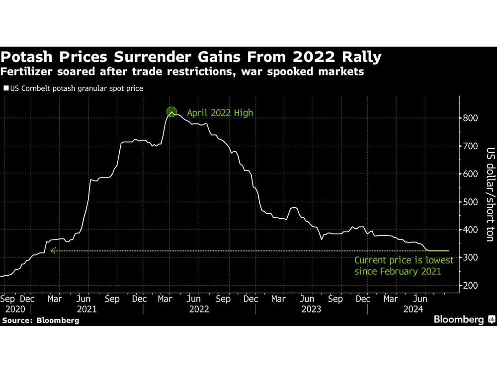 BHP's Fertilizer Boss Bets on Low-Cost Potash to Challenge Rivals | Financial Post