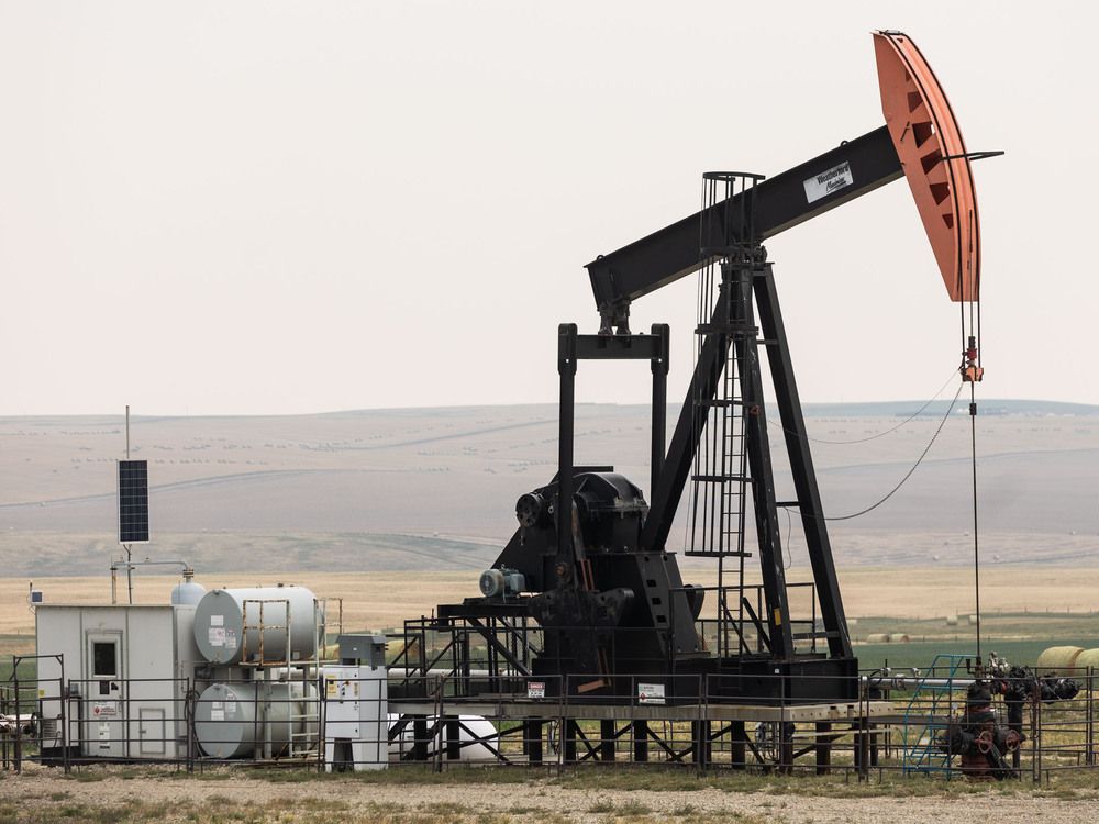 Why oil traders have become so pessimistic about 2025 | Financial Post