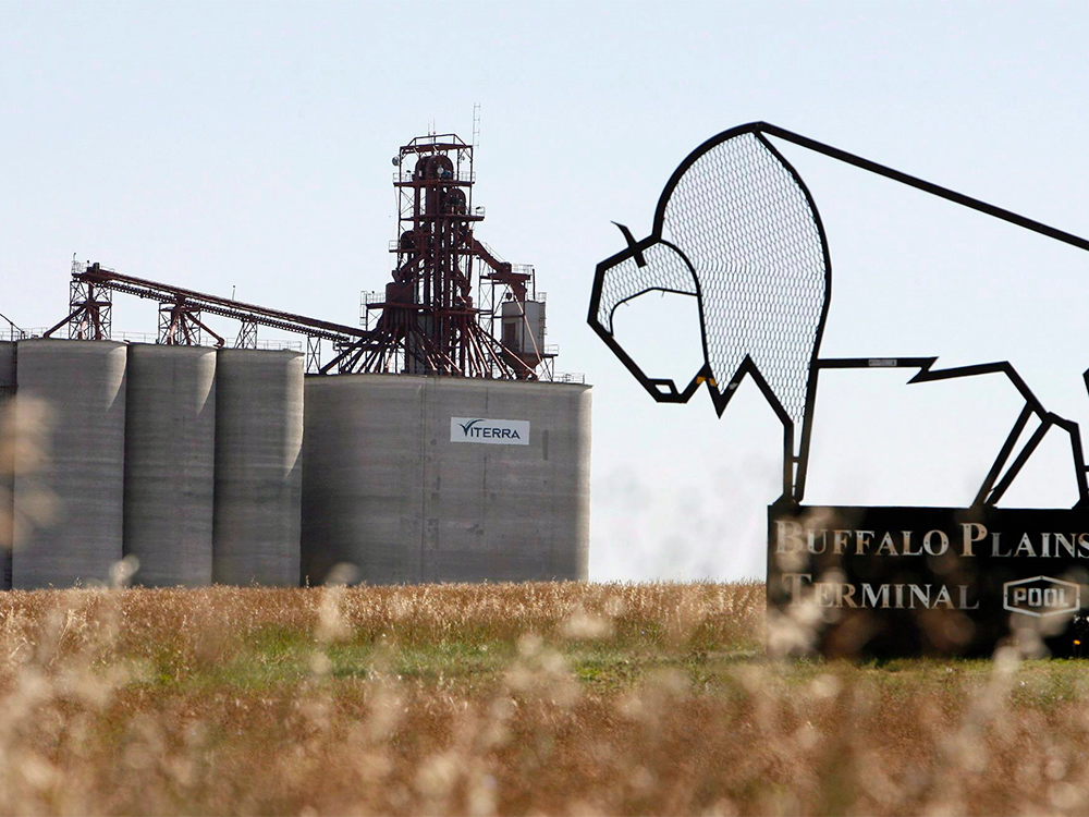 Viterra deal conclusion may be delayed into 2025, Bungee says ...