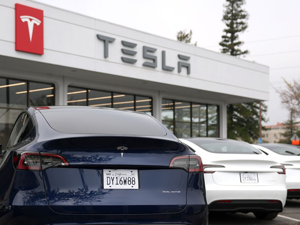 Tesla stock surge runs up against a potential annual sales drop ...