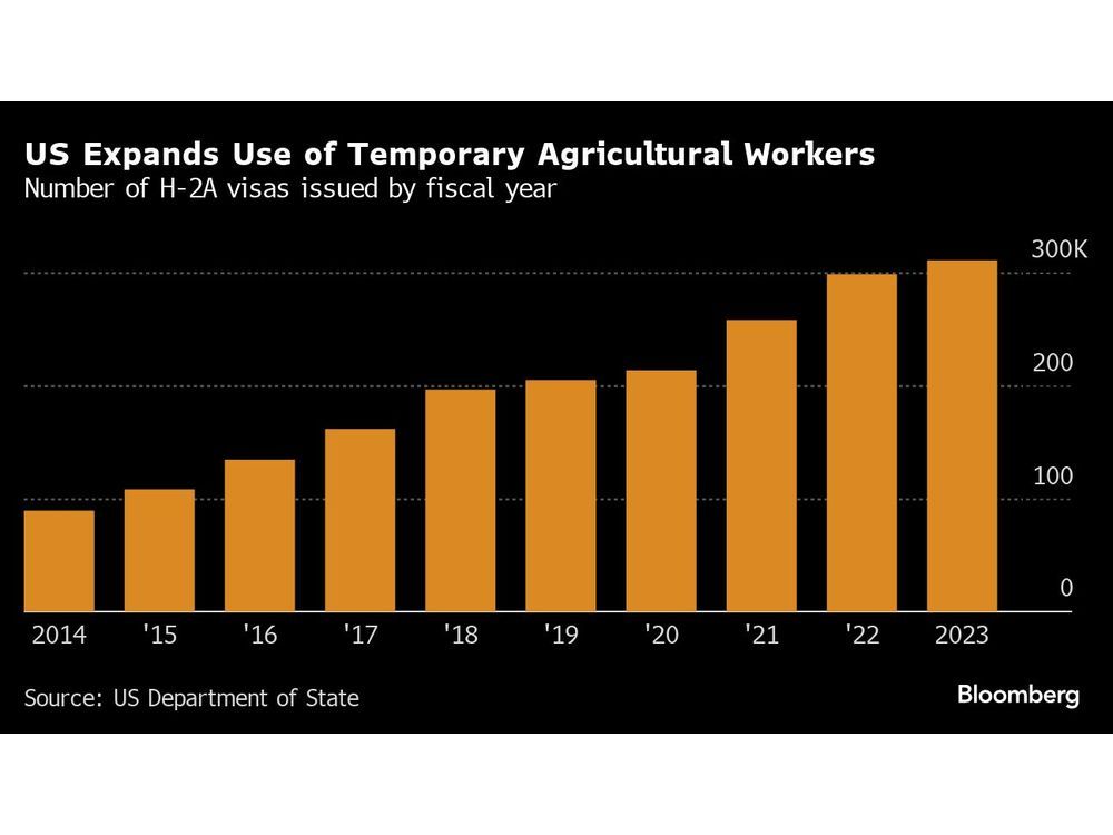 US Agriculture Industry Starts Talks With Trump Team on Tariffs ...