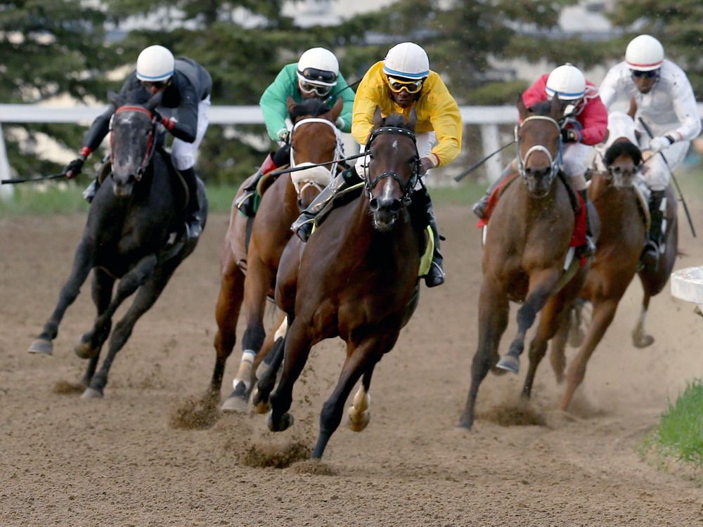 Top Canadian breeder says tariffs could cripple horse-racing ...