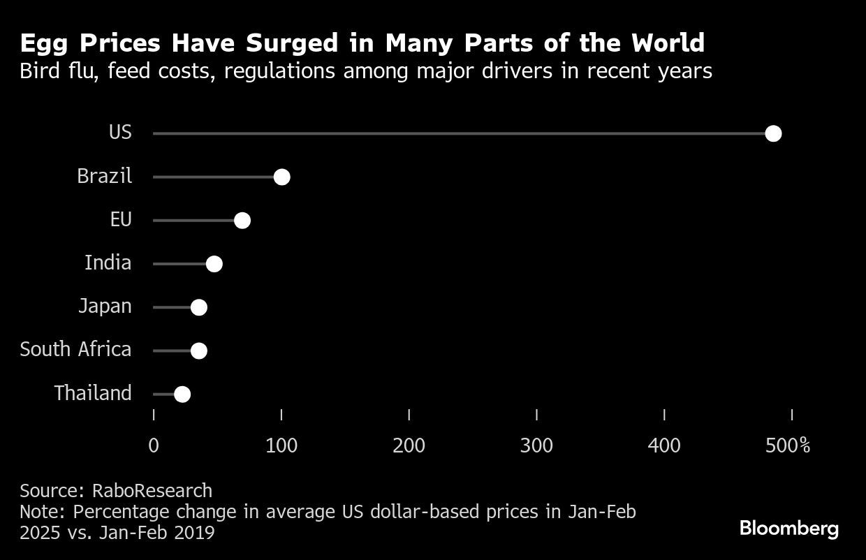 America finding out it’s very difficult to import eggs | Financial Post