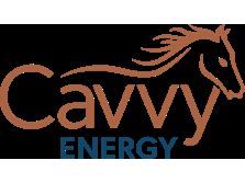 Pieridae Proposes Name Change to Cavvy Energy | Financial Post