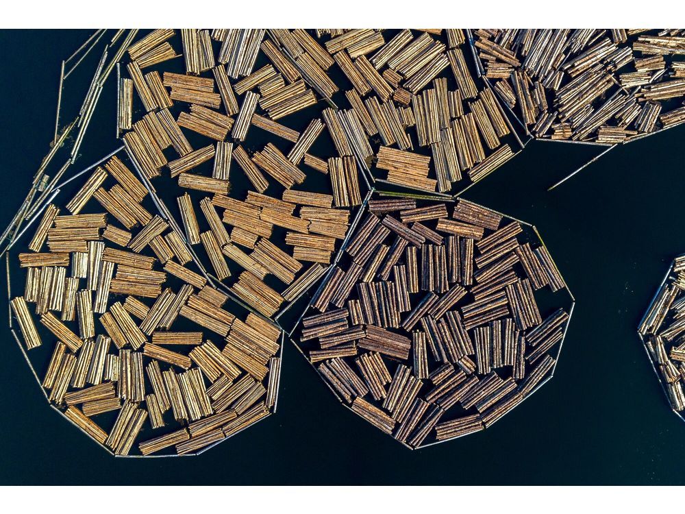 Trump Sets Lumber, Wood Tariffs in Bid to Boost US Industry | Financial ...