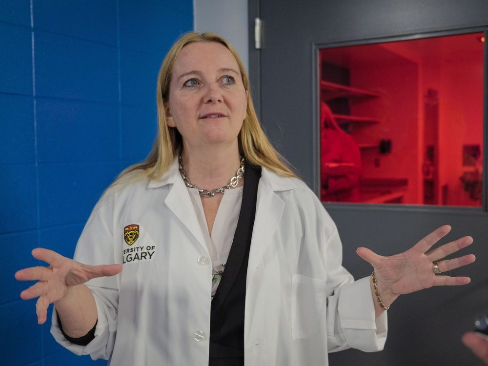 Calgary researchers zero in on gut bacteria as potent cancer fighter ...