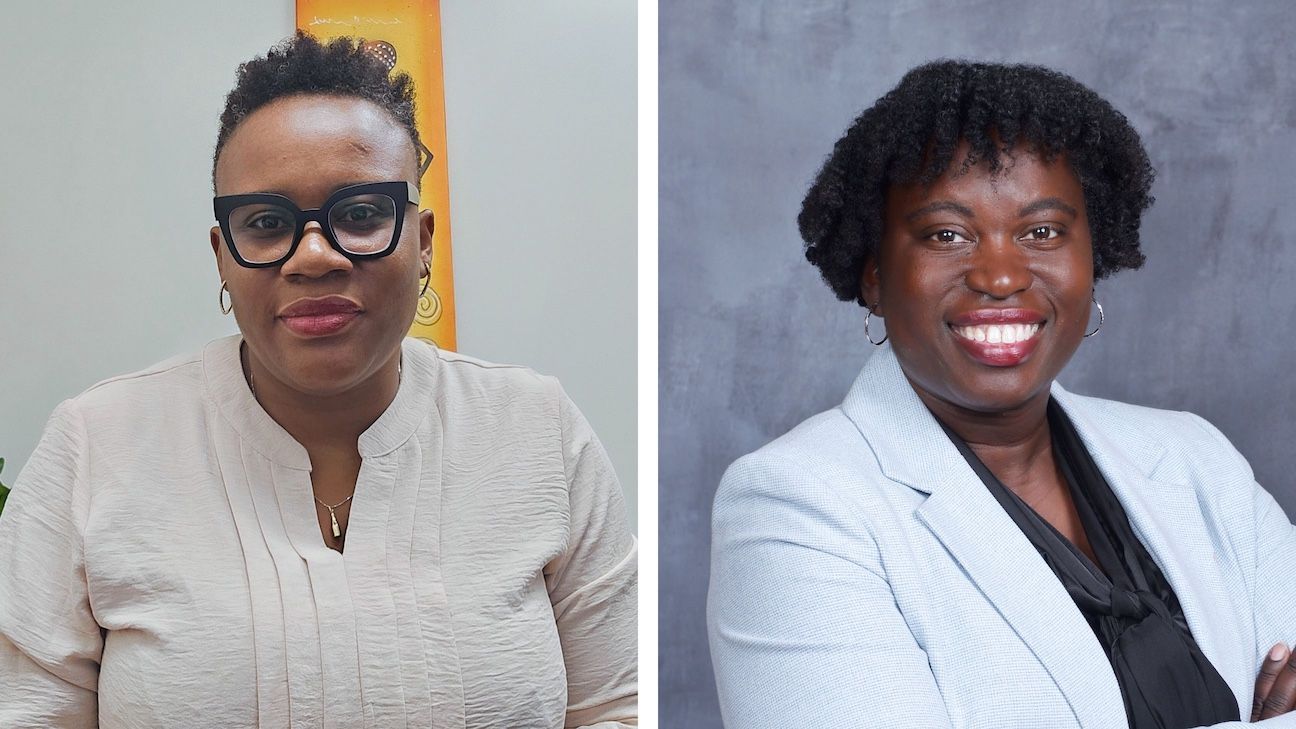 First national Black physician database paves the way for better access ...