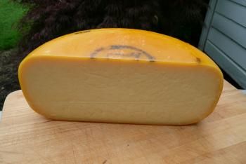 Learn to become a true cheese connoisseur with Cheese For Dummies ...