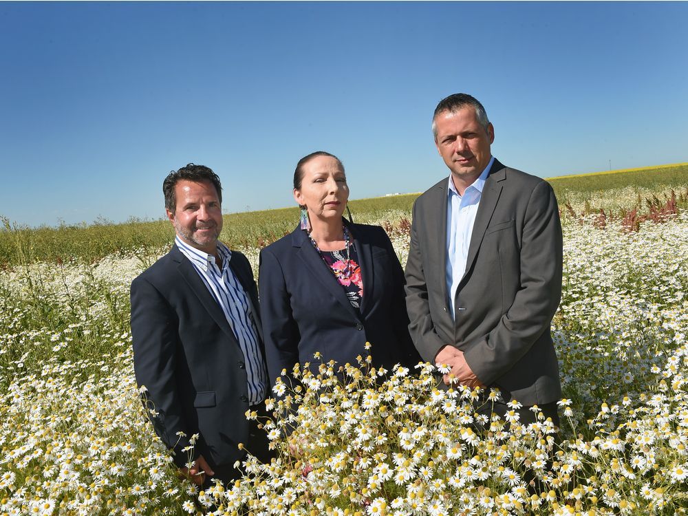 Sakimay First Nations is stepping up its business game | Regina Leader Post