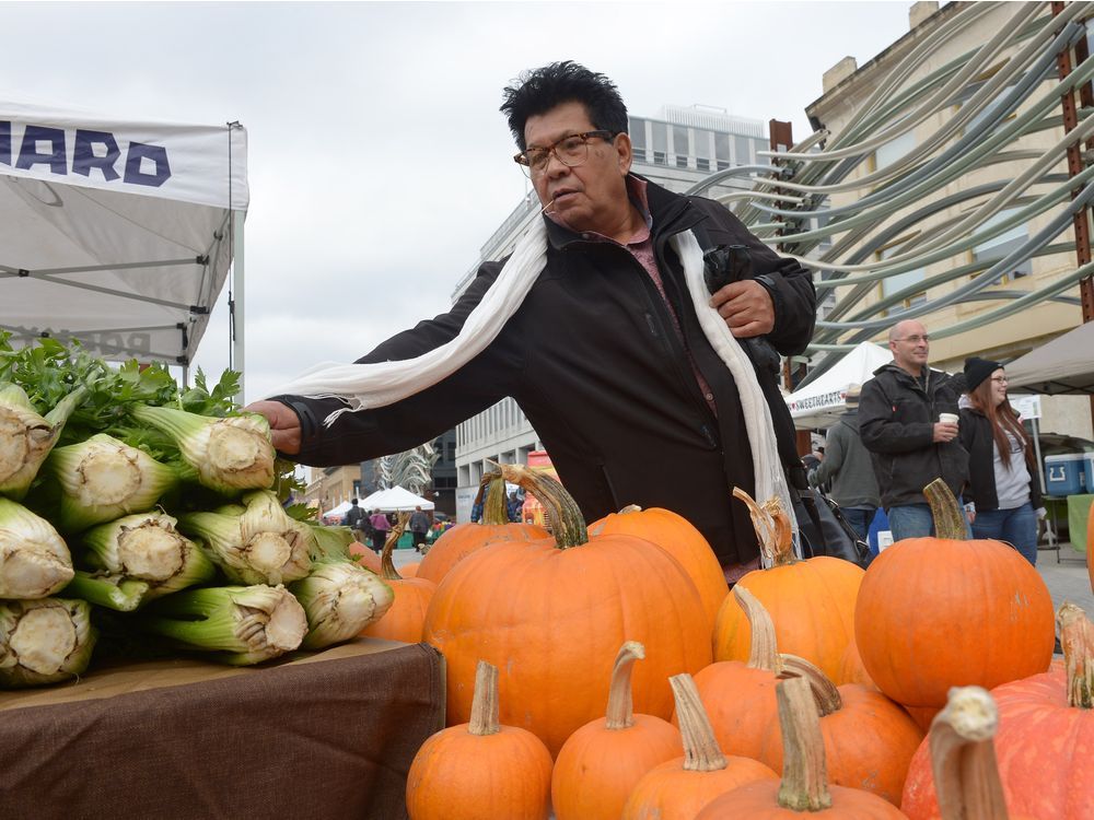 Successful summer for vendors at Regina Farmers Market | Regina Leader Post