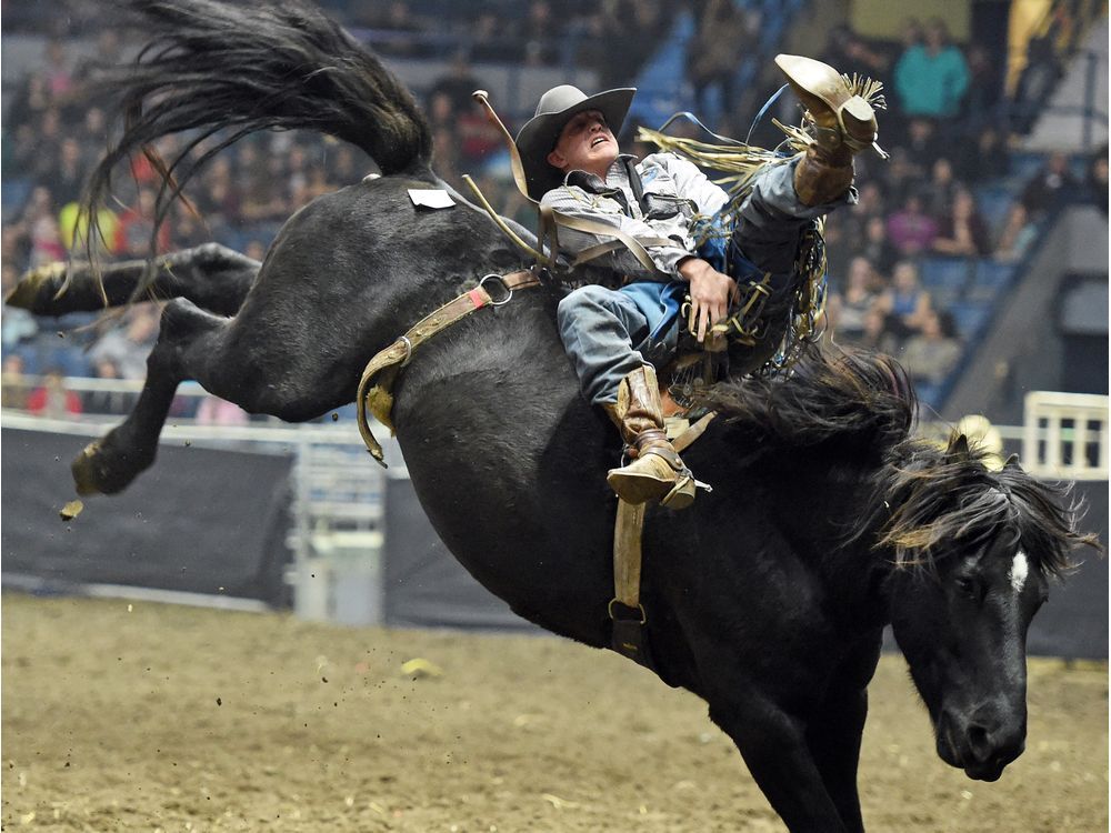 Gallery: Pro rodeo at Agribition | Toronto Sun