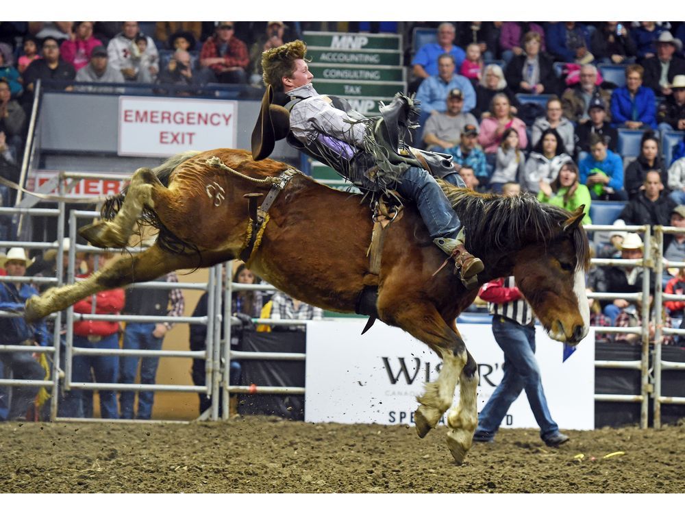 Gallery: Pro rodeo at Agribition | Regina Leader Post