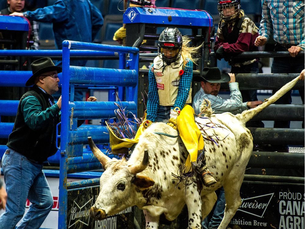 Youth take on steer riding during final day of Agribition | Regina ...