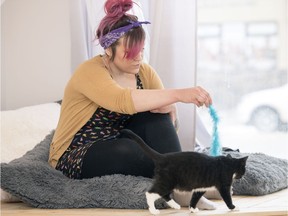The purr-fect combination of cats and coffee comes to Regina | Regina ...