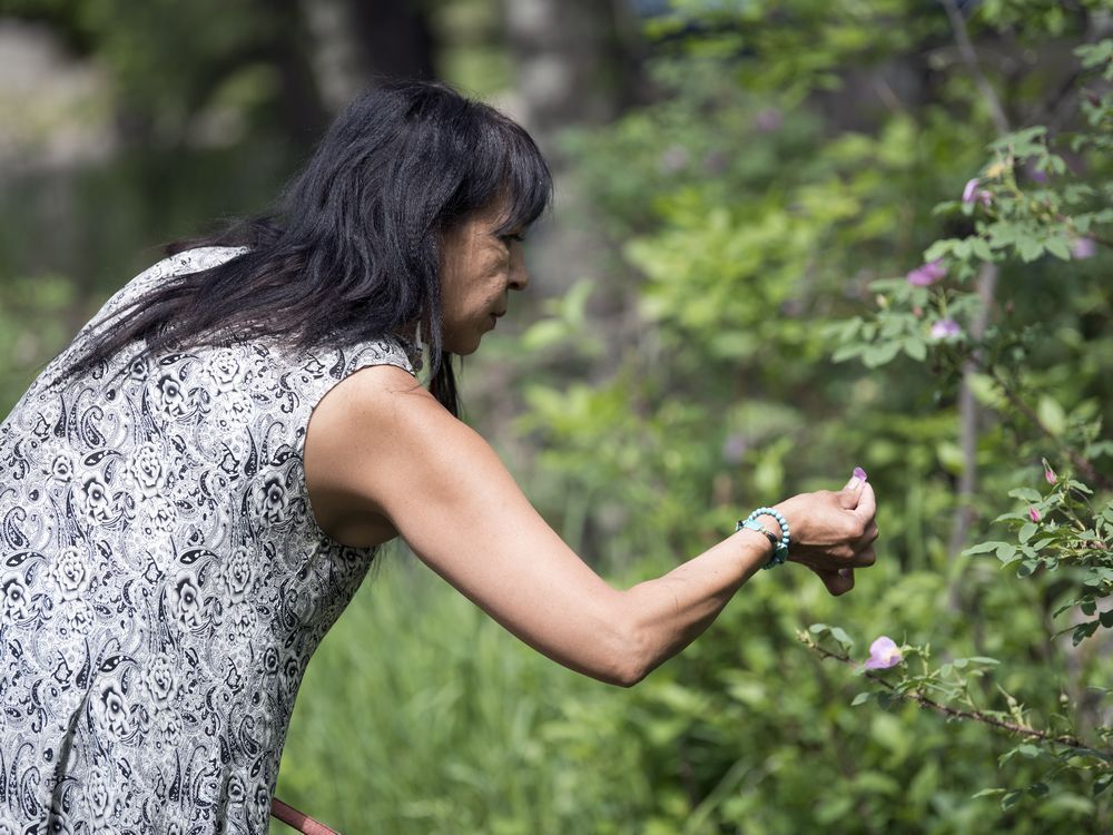Carol Daniels reflects on Sixties Scoop, moves beyond it | Regina ...