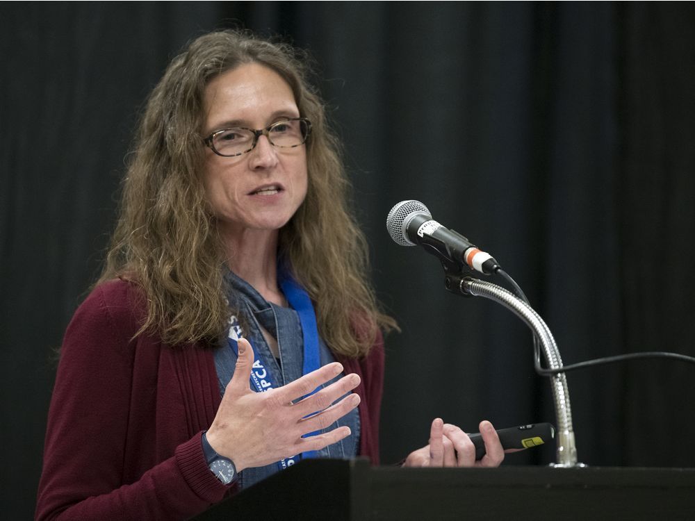 Animal hoarding primarily a mental health concern: researcher | Regina ...