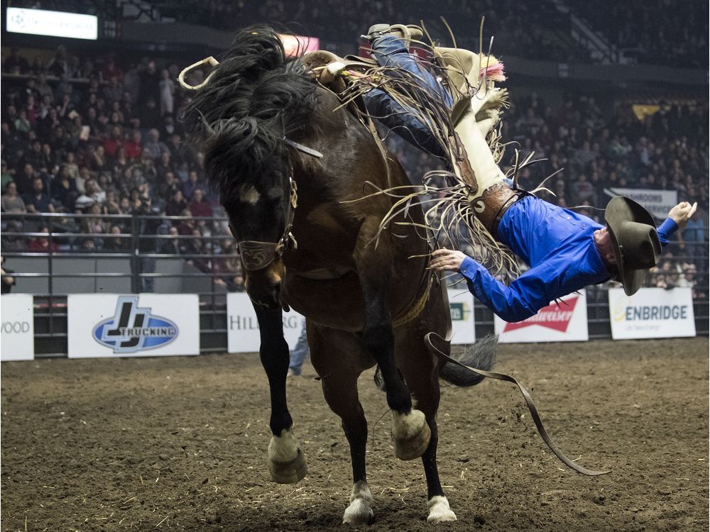 Agribition: Maple Leaf Finals Rodeo in photos | Regina Leader Post